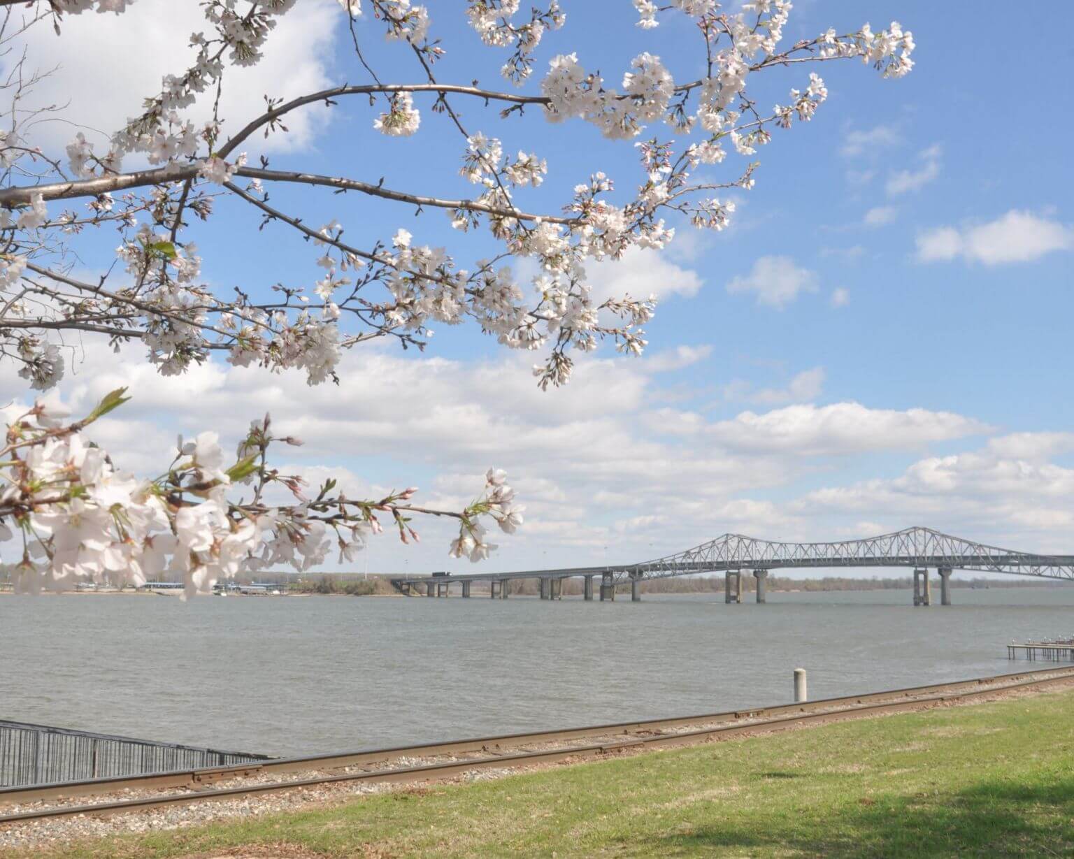 City of Decatur to Host Public Meeting On Bridge Feasibility Study ...