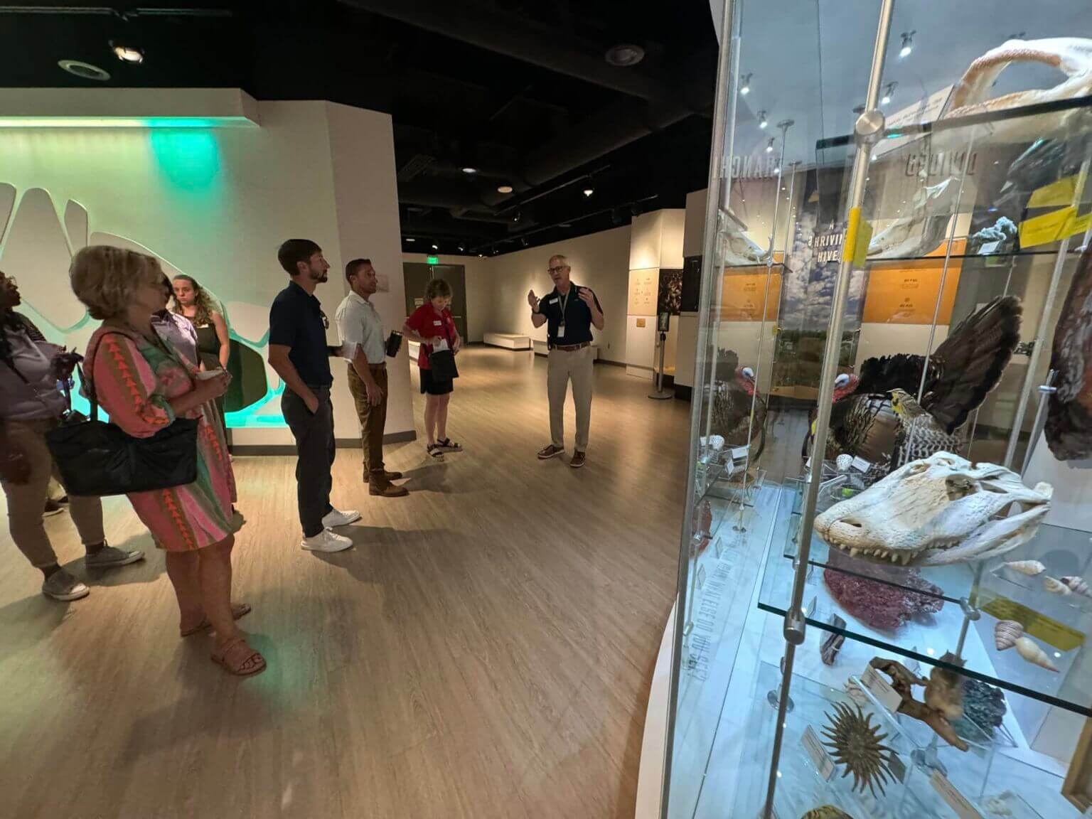 Cook Museum of Natural Science Hosts Coffee & Cards - Decatur-Morgan ...